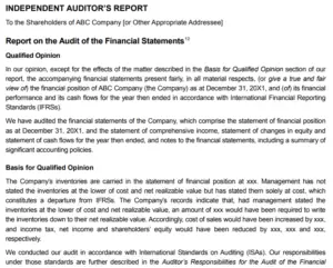 What are Audit opinions? 4 Types of Audit Opinions Explained with ...