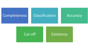 Auditing of Operating Expenses: Risks, Assertions, and Procedures ...